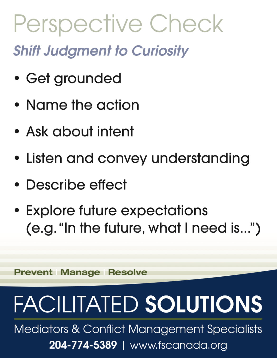 The Perspective Check Process - Facilitated Solutions